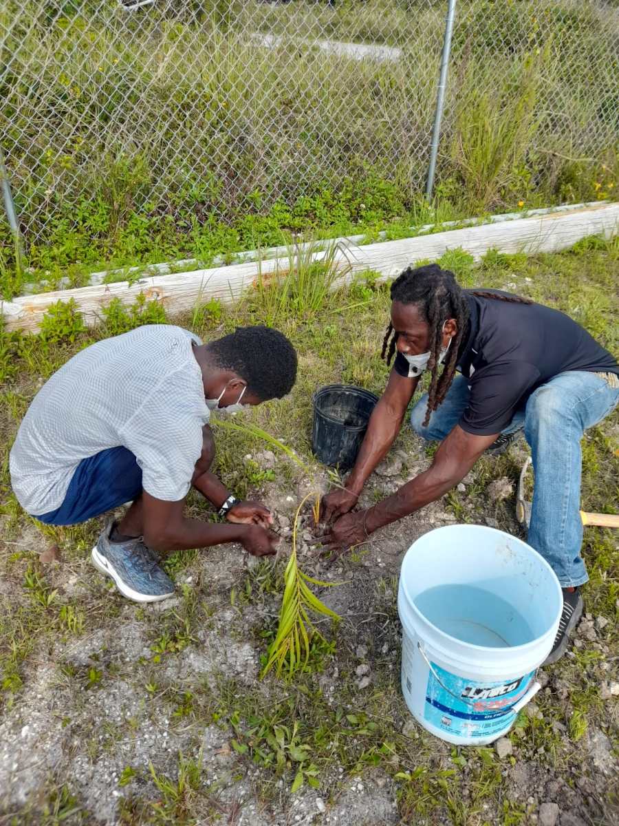 About Us - Every Child Counts